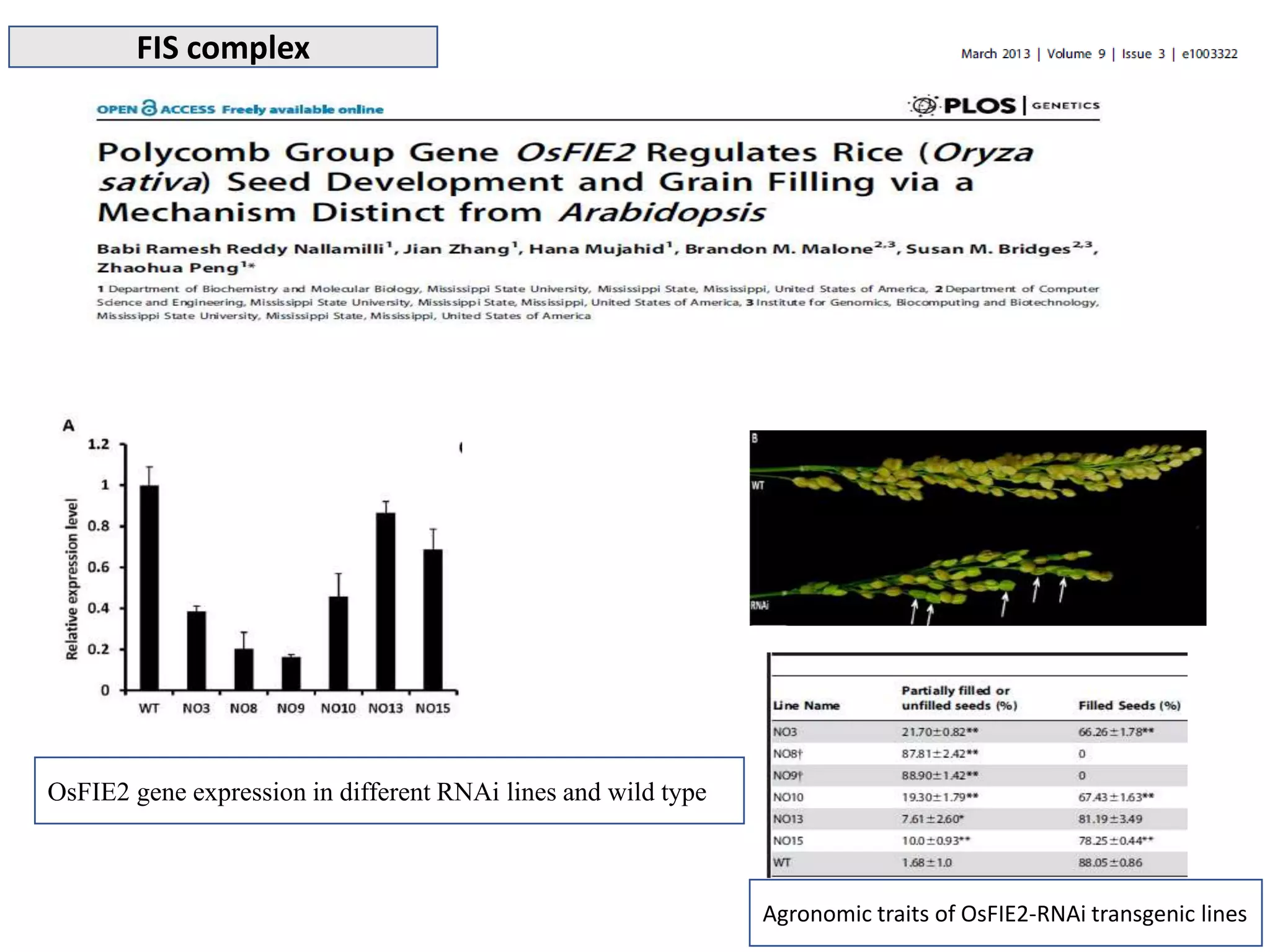 POLYCOMB GROUP OF PROTEINS | PPTX