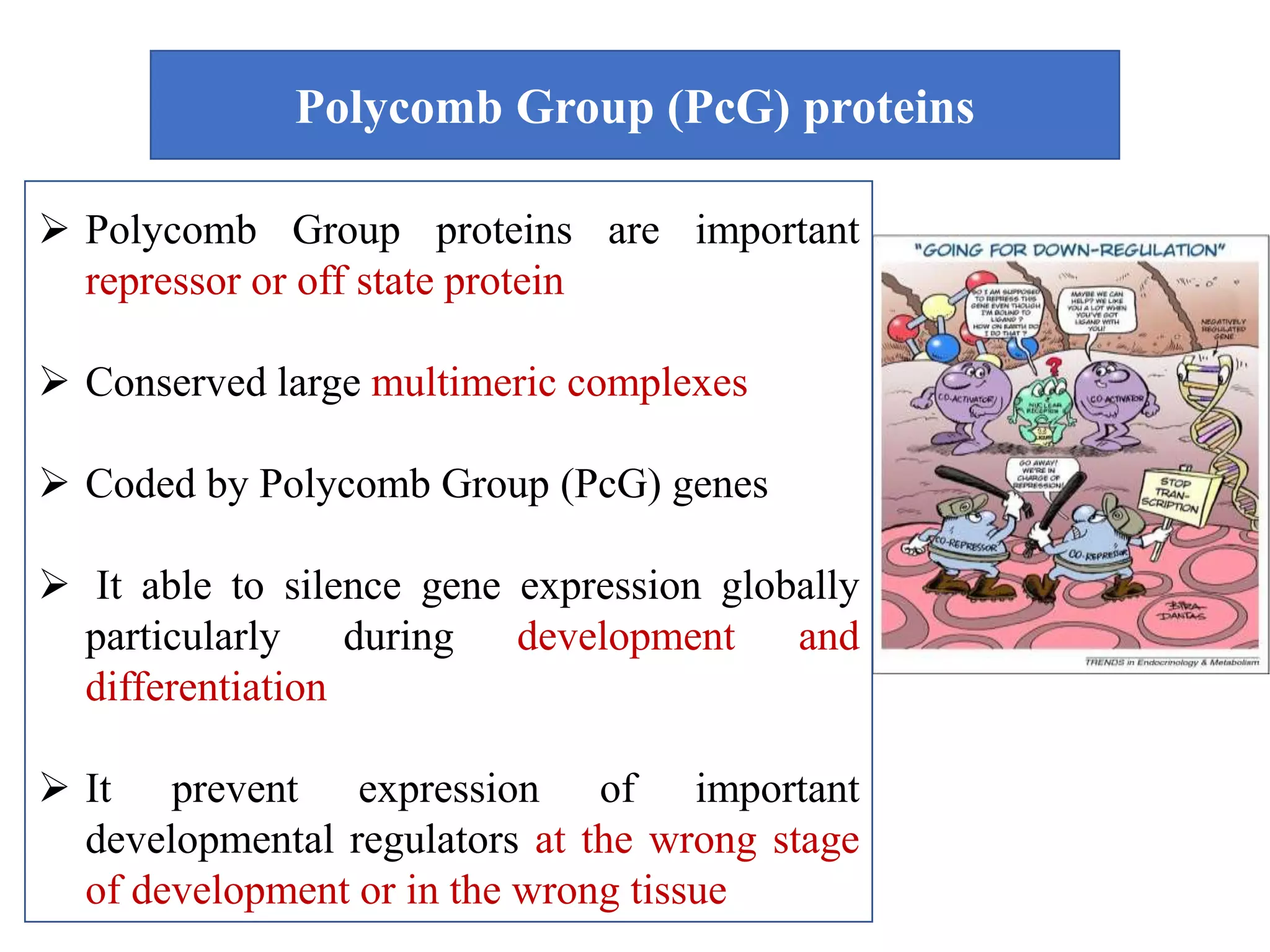 POLYCOMB GROUP OF PROTEINS | PPTX
