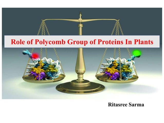 POLYCOMB GROUP OF PROTEINS | PPTX
