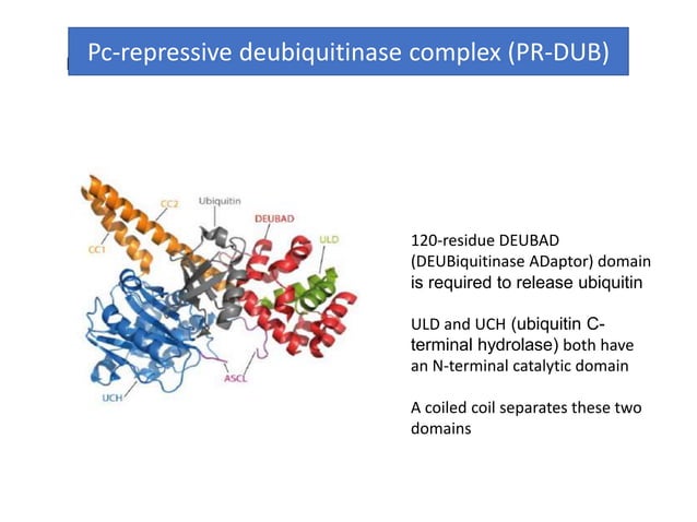 POLYCOMB GROUP OF PROTEINS | PPTX