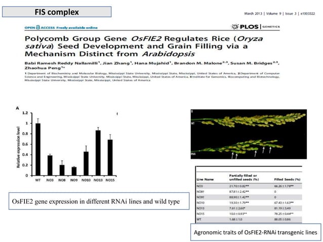 POLYCOMB GROUP OF PROTEINS | PPTX