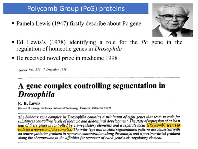 POLYCOMB GROUP OF PROTEINS | PPTX