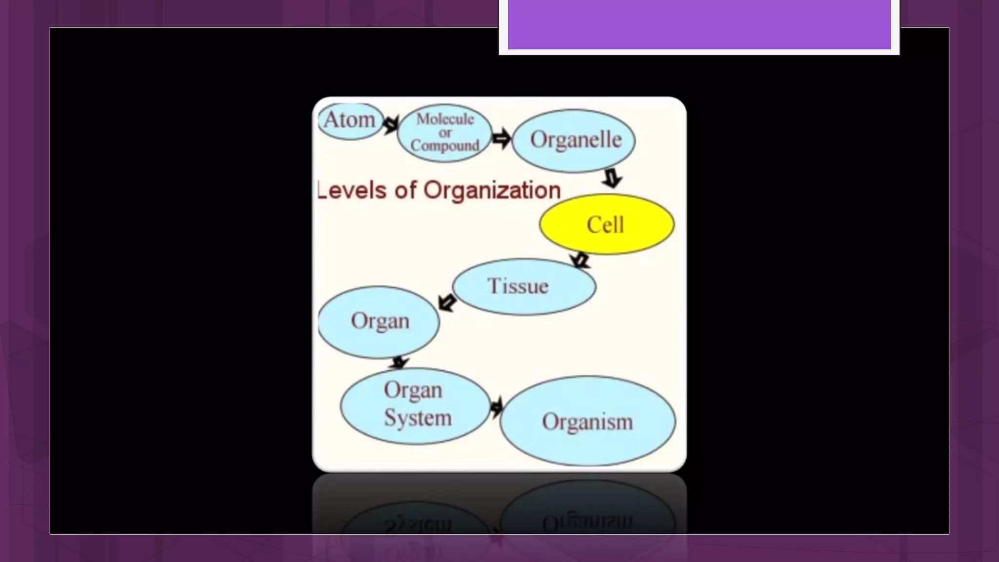 ppt from cell to organisms | PPT