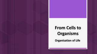 ppt from cell to organisms | PPT