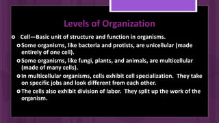 ppt from cell to organisms | PPT