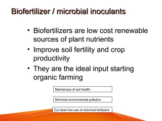 Microbes as a Biofertilizers in pulse and oilseed crop production..ppt