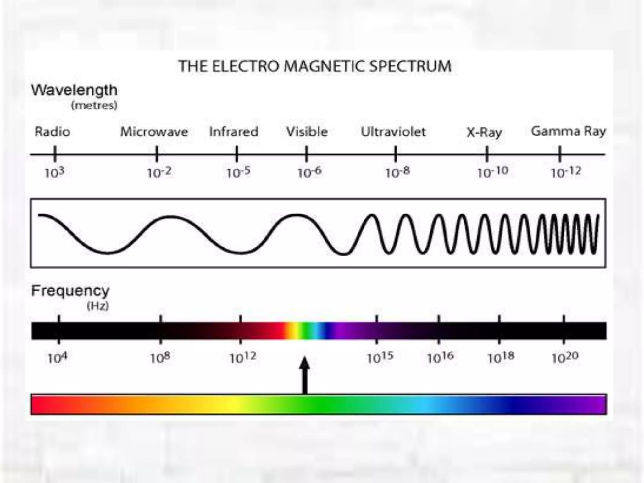 Uv Visible Spectroscopy Pptx