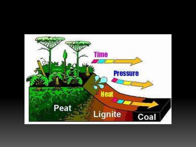 PPT on Coal.pptx | Chemistry | Science