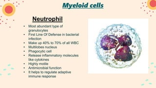 General description of immune system | PPTX