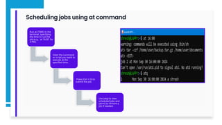 Job Control In LInux.................... | PPTX