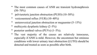 Antenatal hydronephrosis and management, diagnosis and new ...
