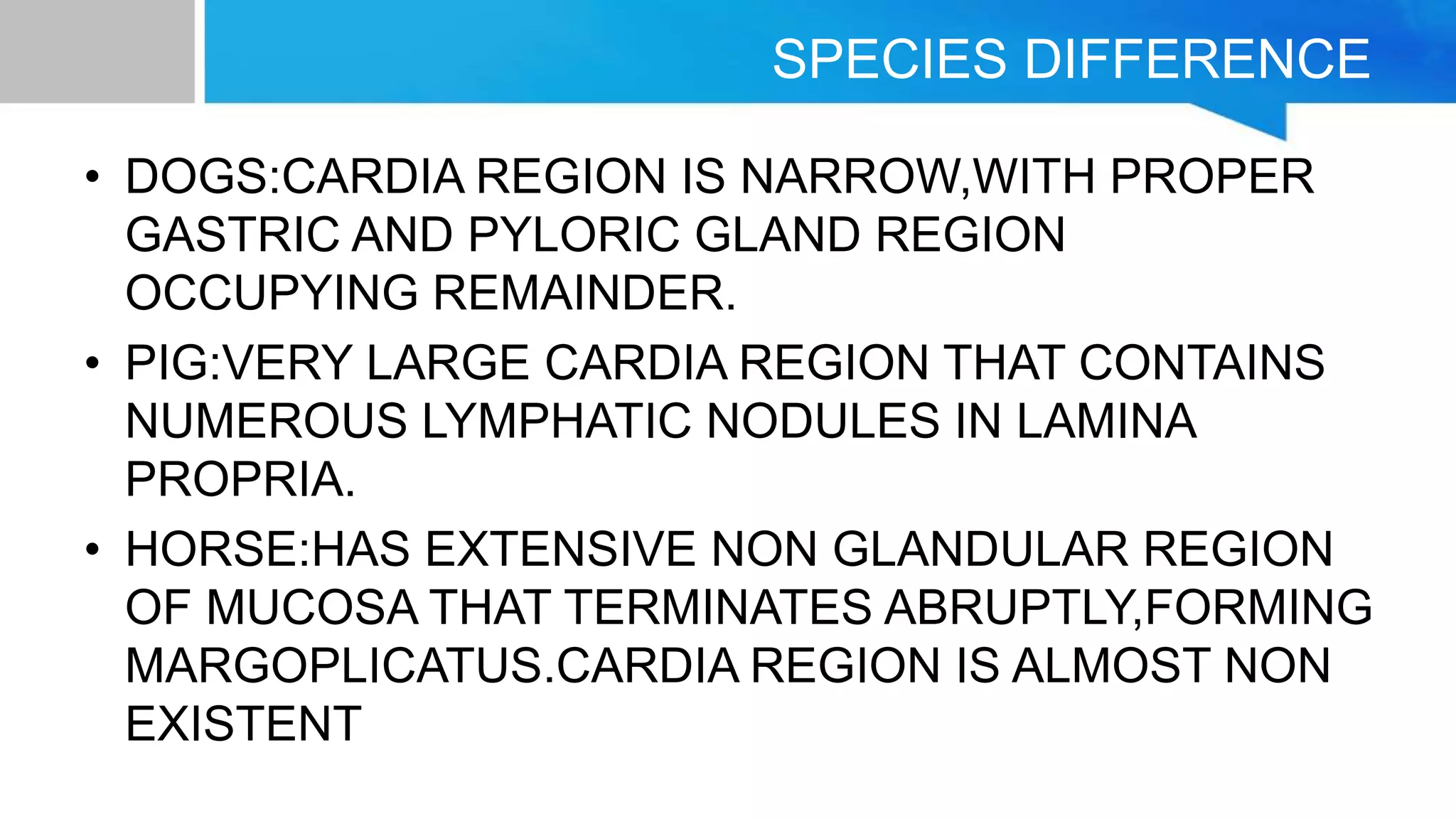 veterinary histology | PPTX