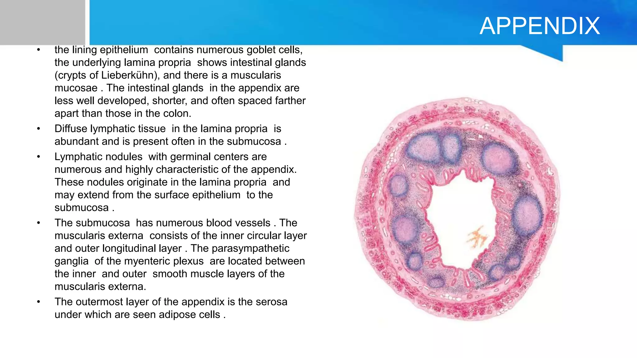 veterinary histology | PPTX