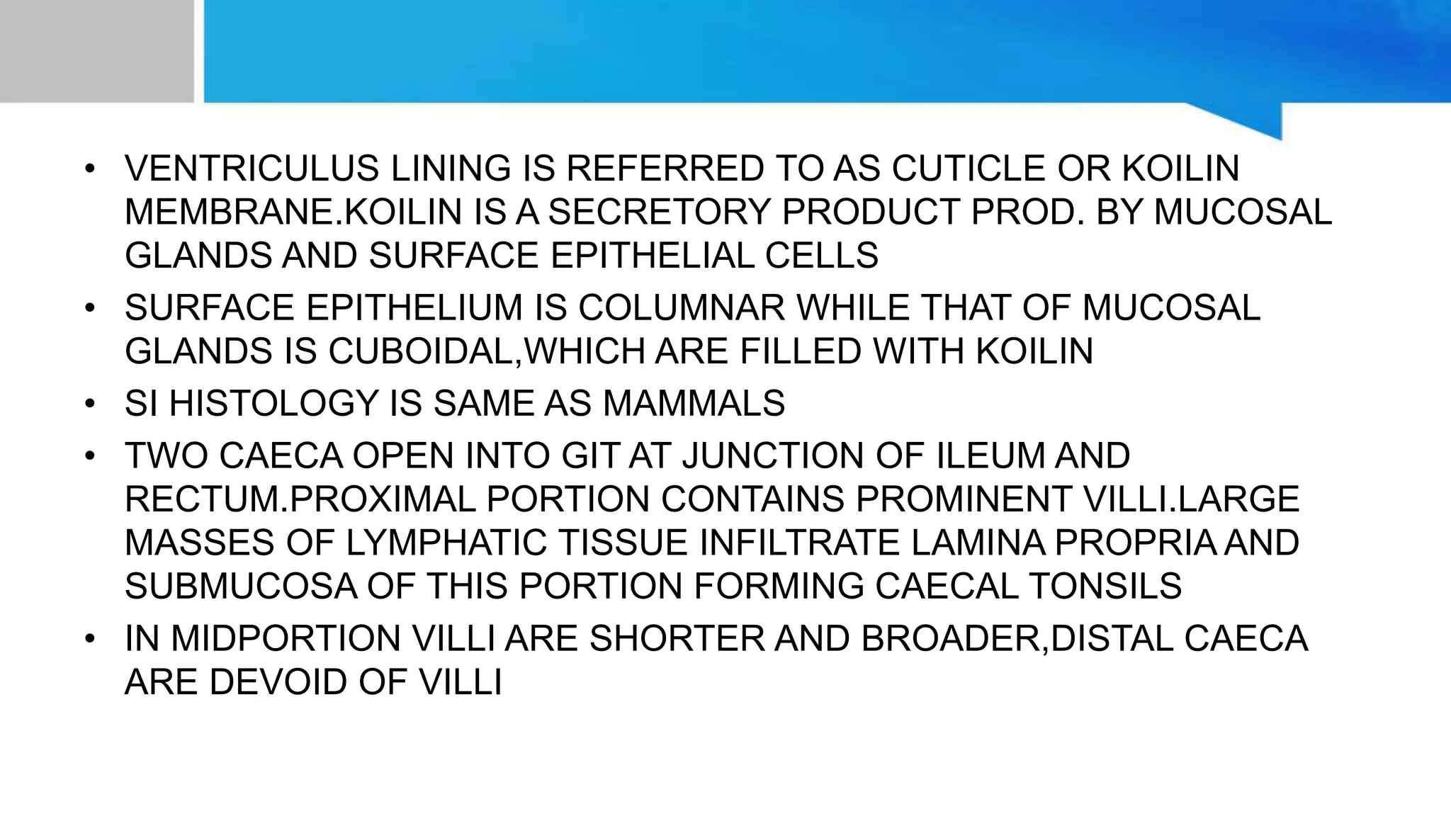 veterinary histology | PPTX