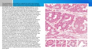 veterinary histology | PPTX