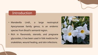 New Pregnane Glycosides from Mandevilla dardanoi.pptx