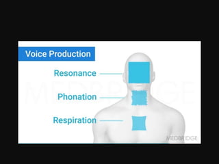 Vocal cord lesions and Phonomicrosurgery | PPTX