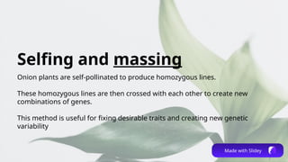 New presentation - 173014bsbsbs4029.pptx
