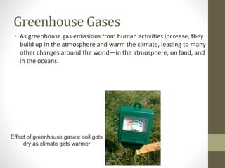 Climate Change Powerpoint | PPTX