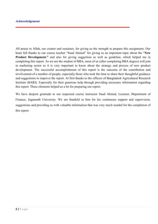 New product development | DOCX