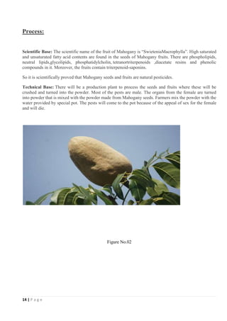 New product development assignment | DOCX