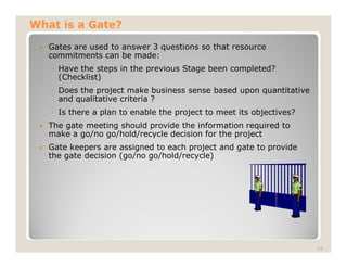 NPD- Stage Gate Presentation | PDF