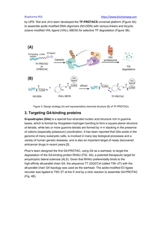 New Progress of Targeted Degradation Based On Nucleic Acid.pdf | Genetics | Science