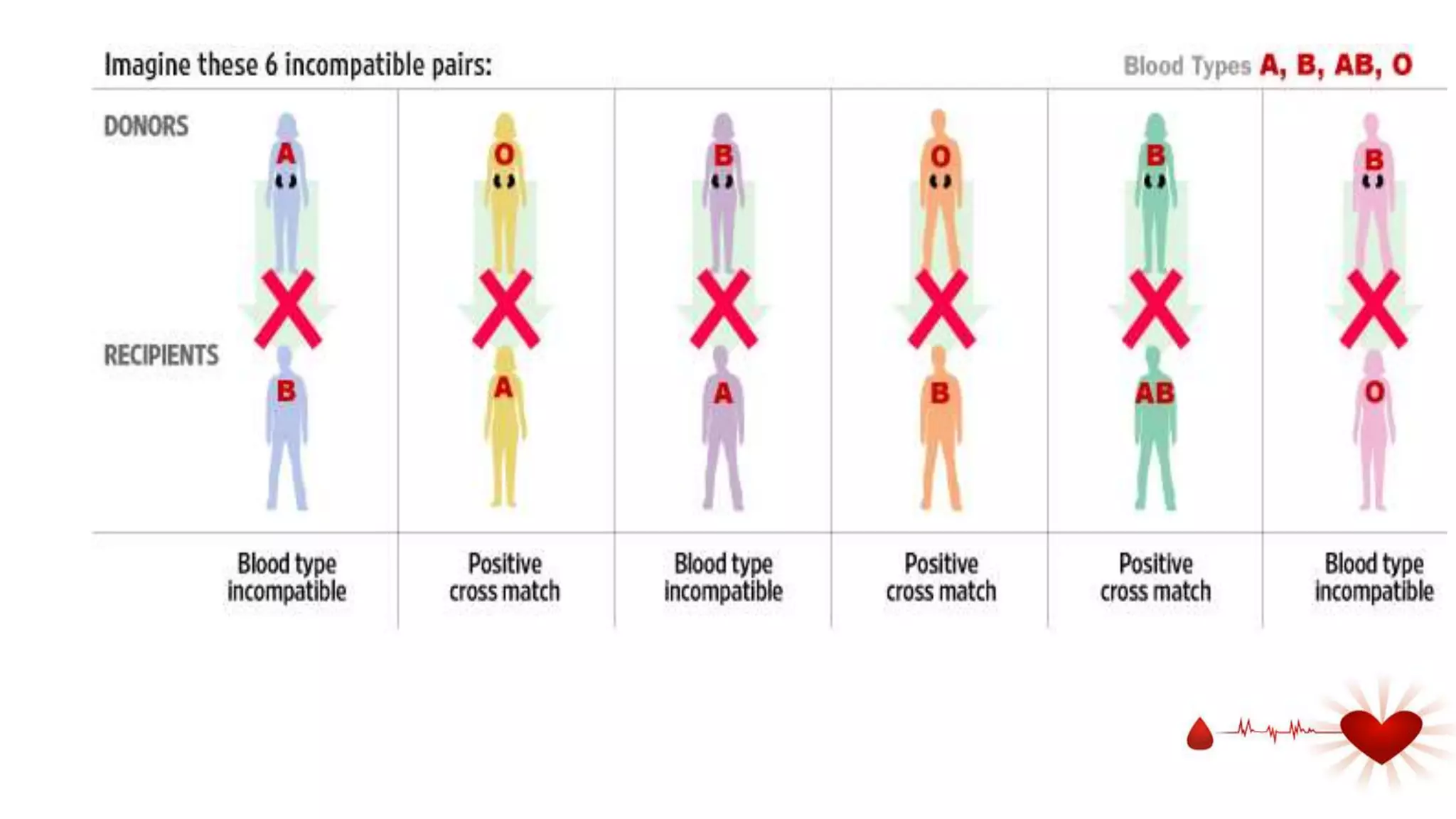 blood transfusion | PPTX
