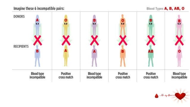 blood transfusion | PPTX | Blood Disorders | Diseases and Conditions