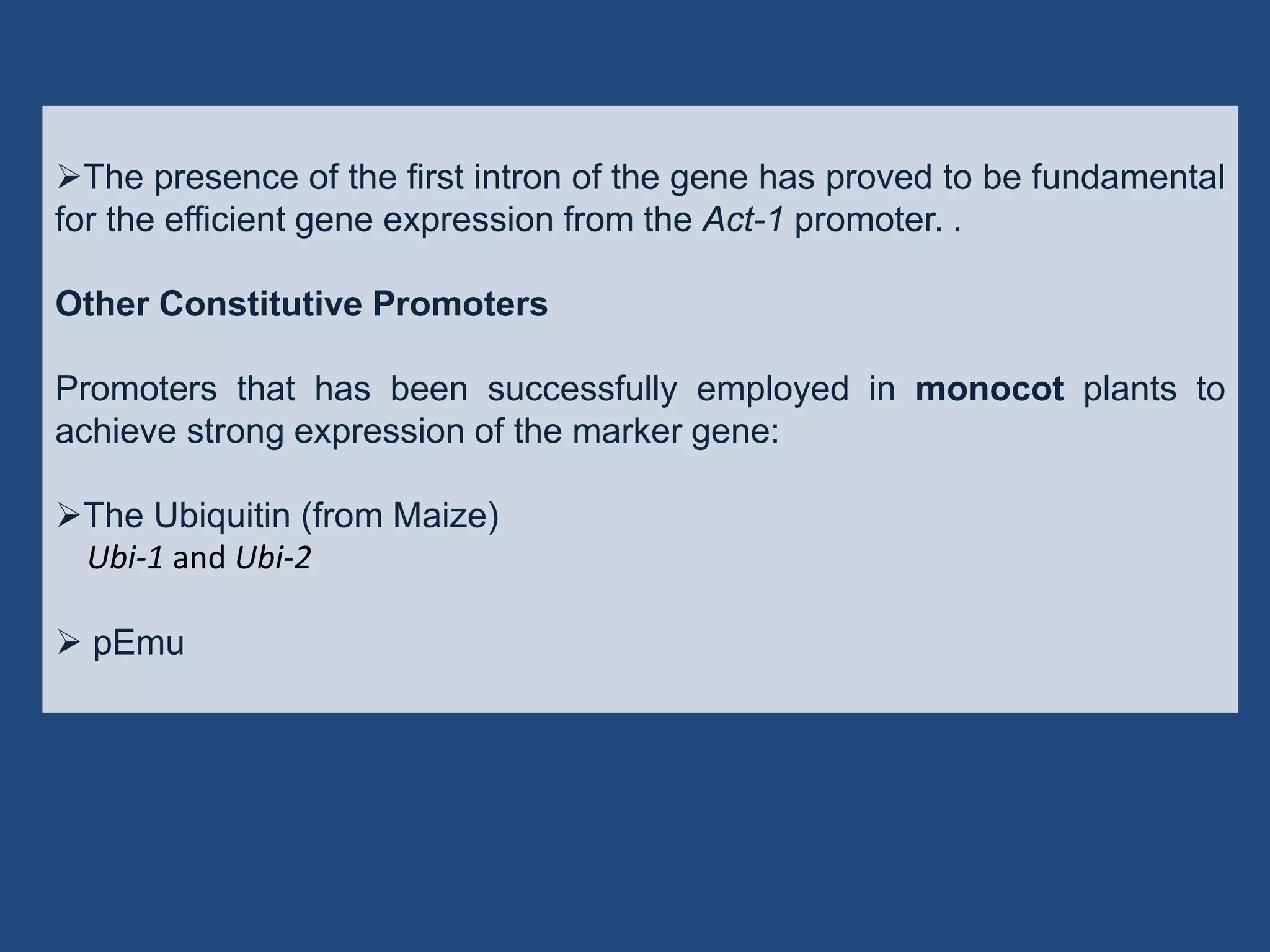 New promoters and selection methods | PPTX