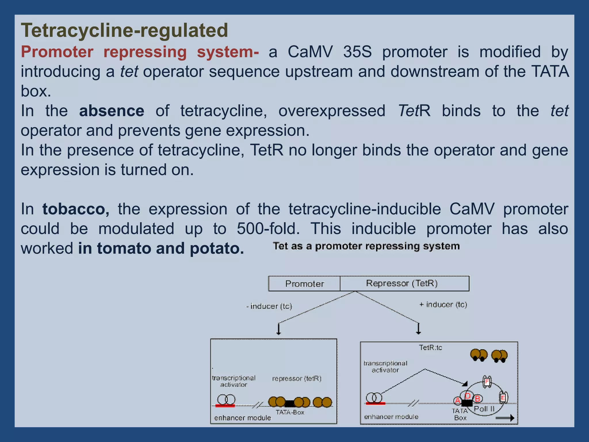 New promoters and selection methods | PPTX