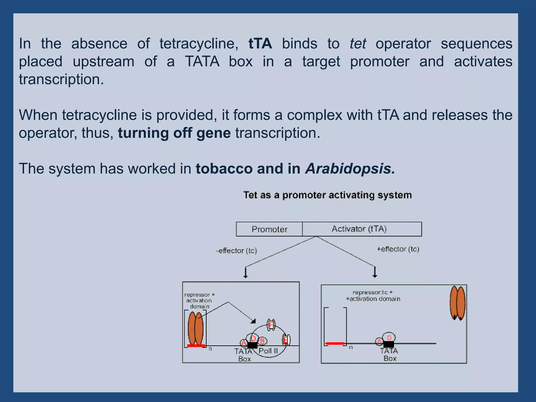New promoters and selection methods | PPTX
