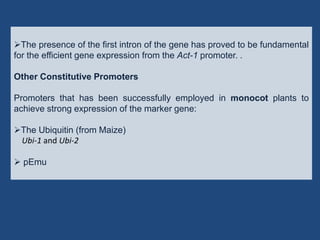 New promoters and selection methods | PPTX