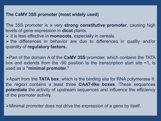 New promoters and selection methods | PPTX