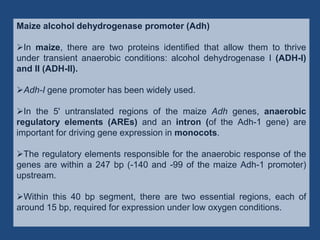 New promoters and selection methods | PPTX
