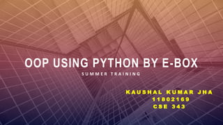 Summer Training Project On Python Programming | PPTX