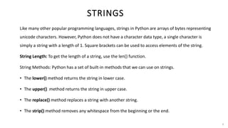 Summer Training Project On Python Programming | PPTX