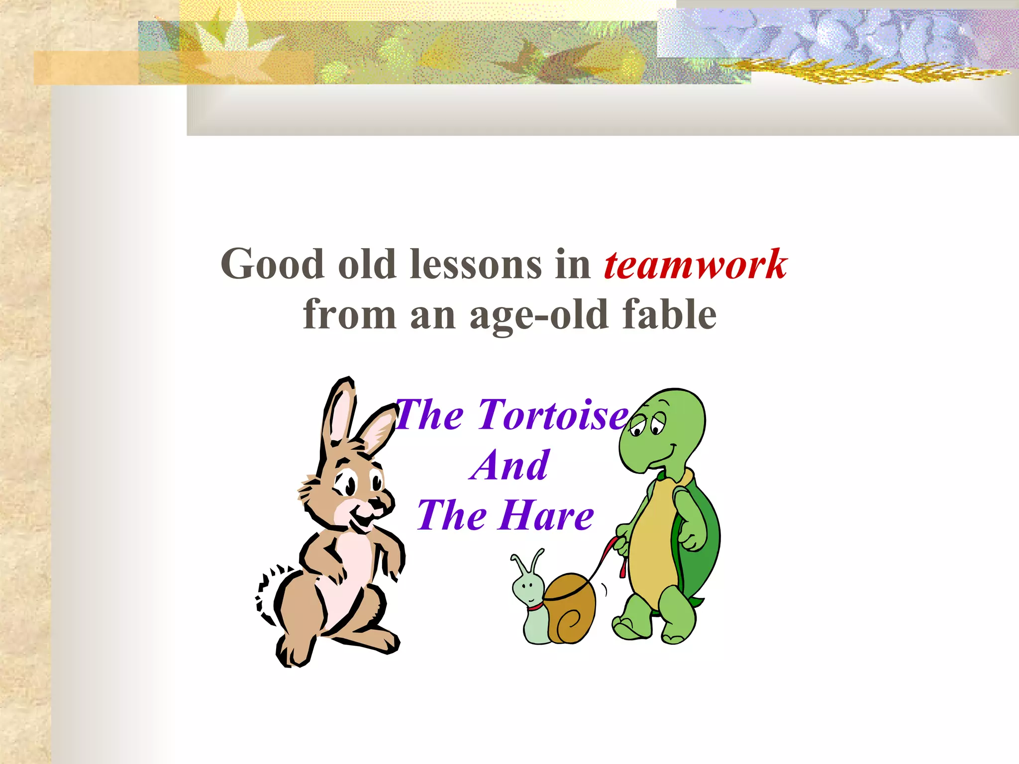 New Rabbit Tortoise Story | PPS