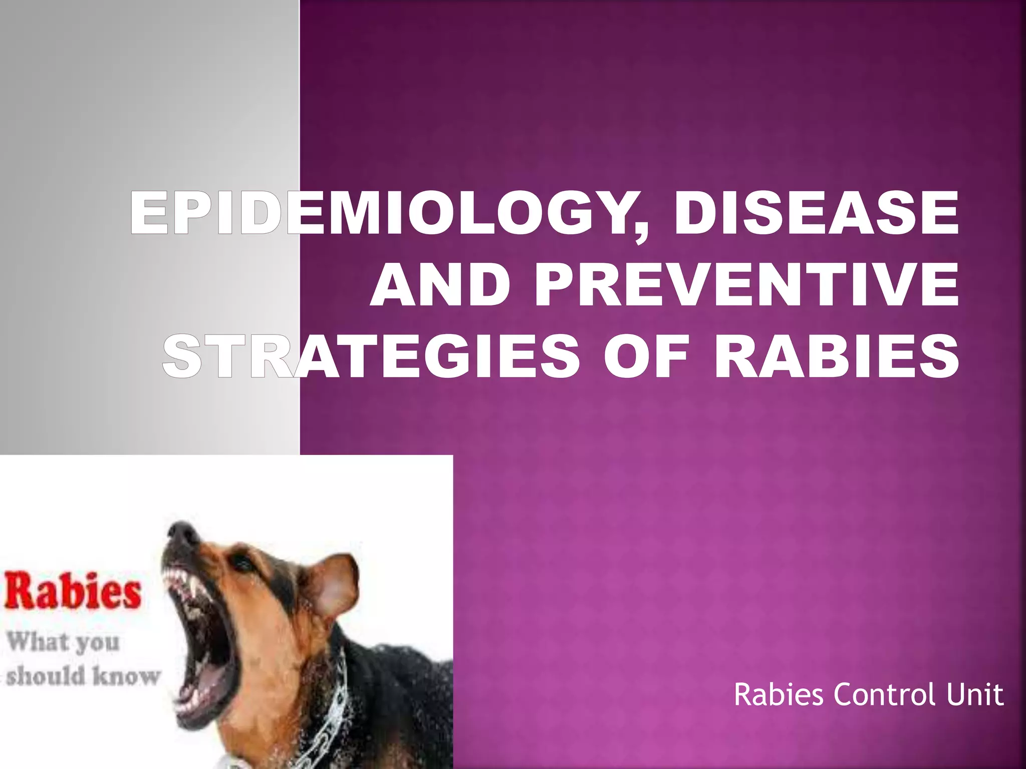 Epidemiology, Disease and Preventive Strategies of Rabies | PPTX