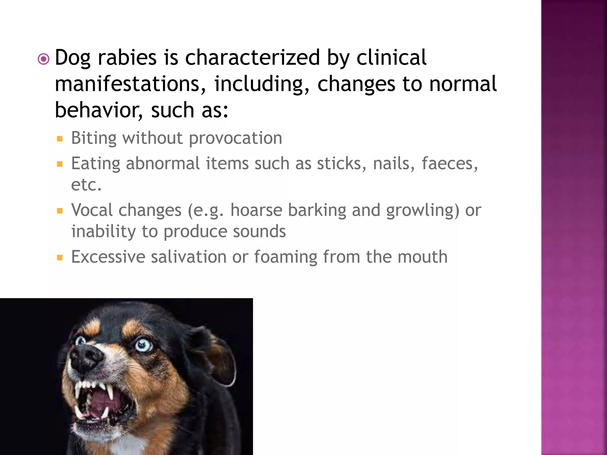 Epidemiology, Disease and Preventive Strategies of Rabies | PPTX