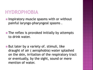 Aerophobia Rabies