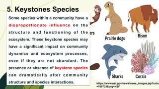 New Revise - 2nd Sem- S.Y.2023-2024, Forms of Biodiversity - Community ...
