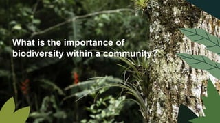 New Revise - 2nd Sem- S.Y.2023-2024, Forms of Biodiversity - Community ...