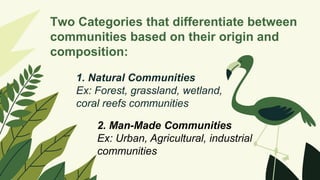 New Revise - 2nd Sem- S.Y.2023-2024, Forms of Biodiversity - Community ...