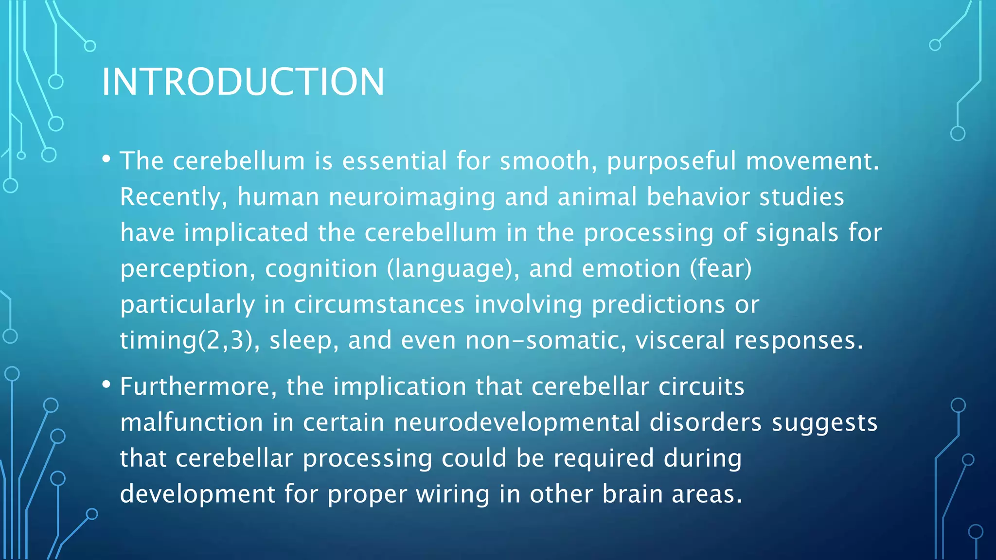 New roles for the cerebellum | PPT