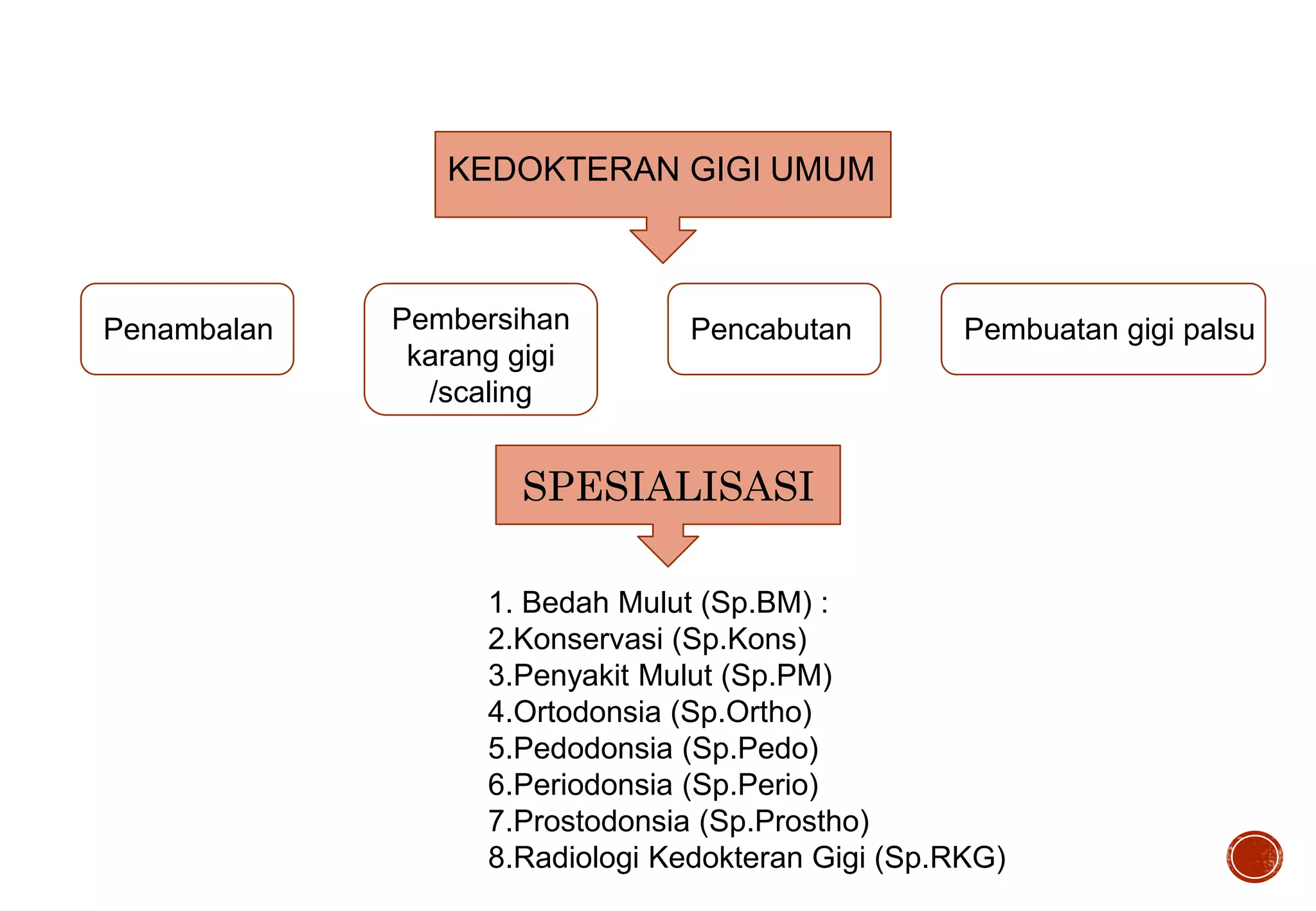 New Salesman Training.ppt