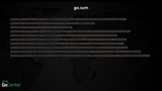 Security of Go Modules and Vulnerability Scanning in GoCenter and VS ...