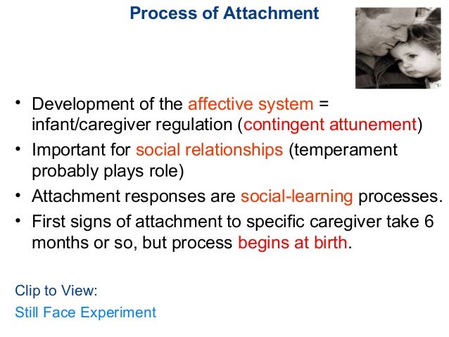 Session Two Presentation: Attachment Theory