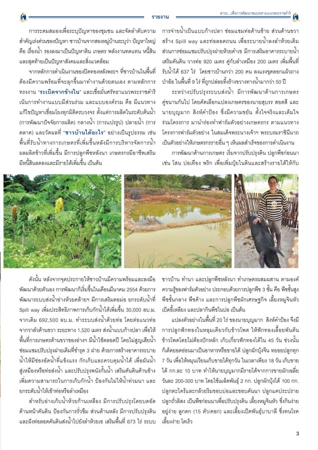 Newsletter pidthong vol.7 | PDF