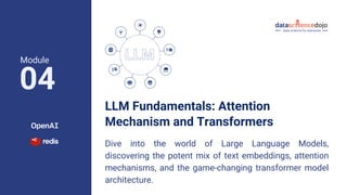 LLMs Bootcamp | PDF